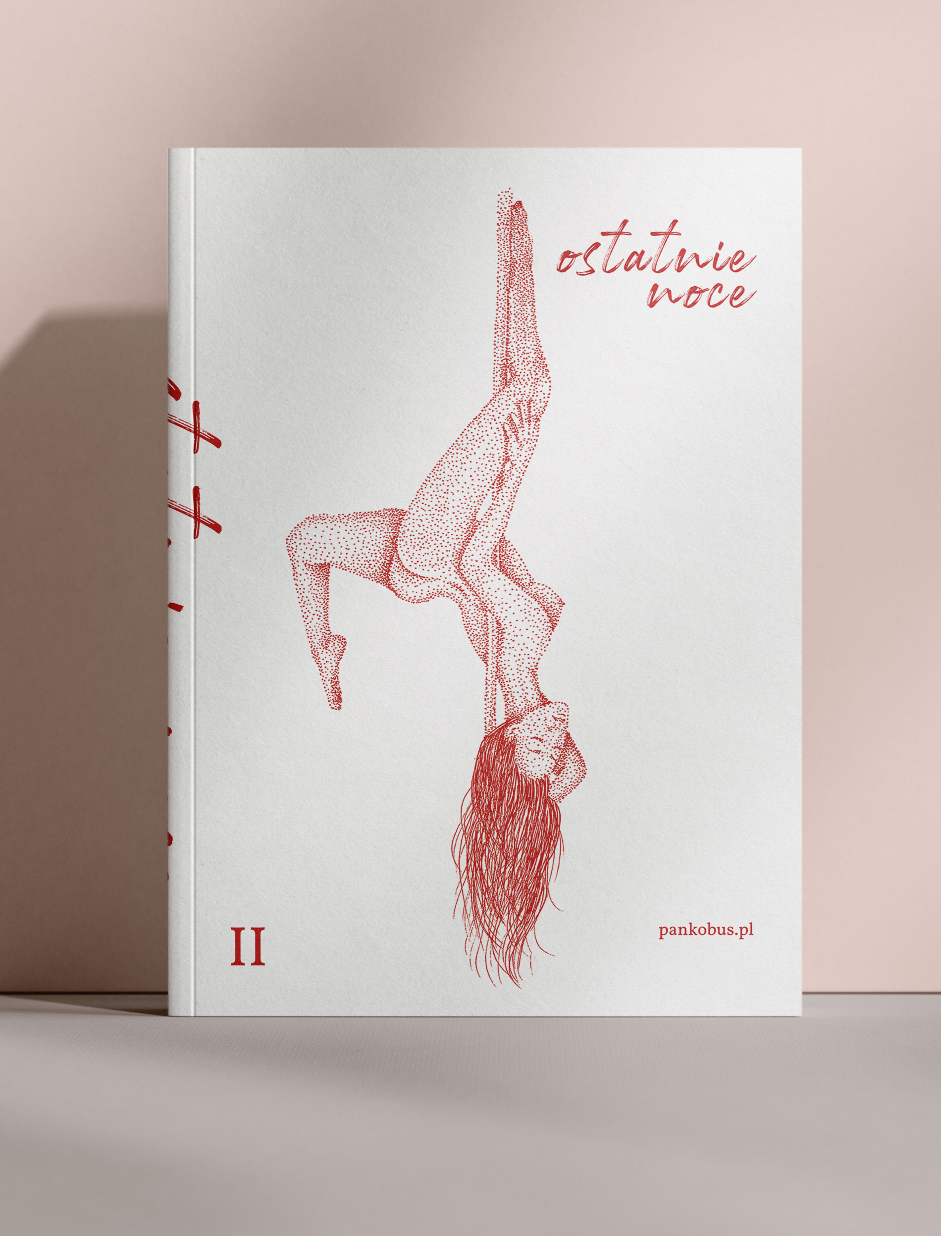 Książka Ostatnie noce - Kobus Store